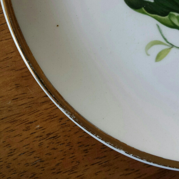 The American Limoges China Co. | Dining | Vintage Glamour American ...